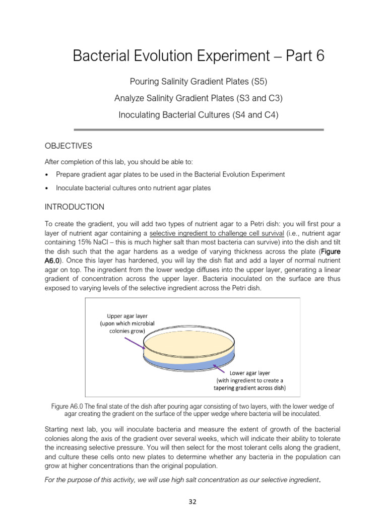 Lab 6 - Bacterial Evolution-Pour 5 Inoculate 4 Analyze 3 | PDF | Agar ...