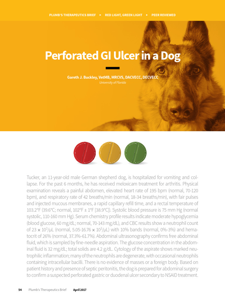 Perforated GI Ulcer in A Dog Test | PDF | Analgesic | Sepsis