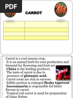 Carrots | PDF | Carrot | Agriculture