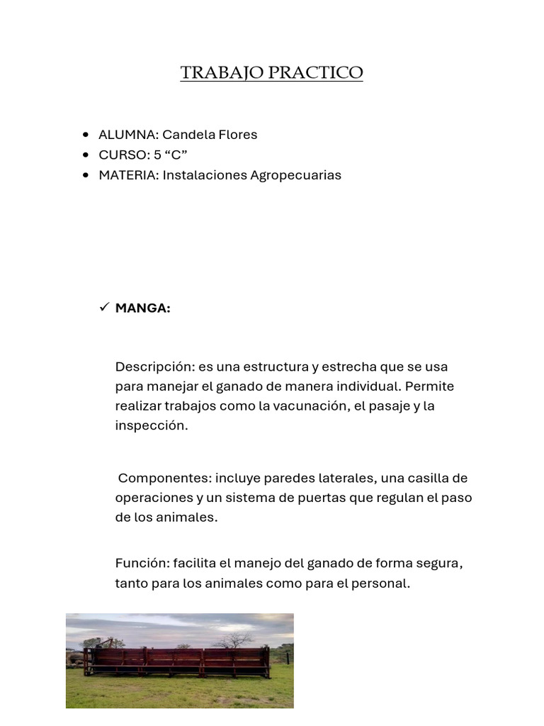 Trabajo Cande | PDF