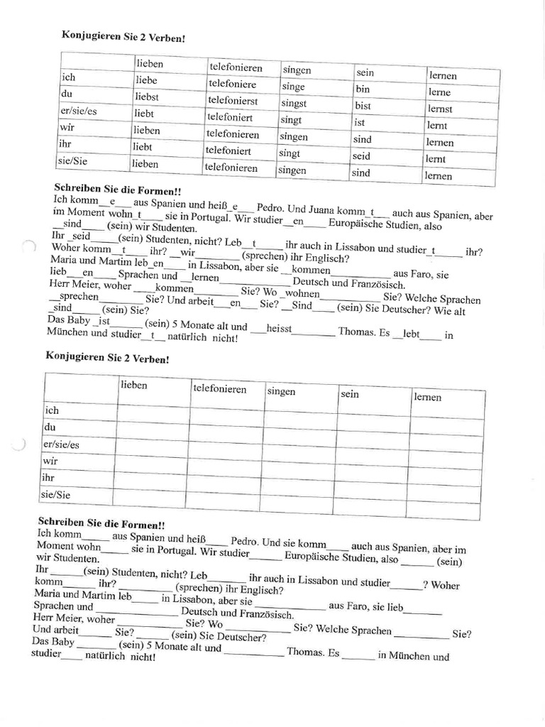 Uebungen Verbkonjugation Und W-Fragen | PDF