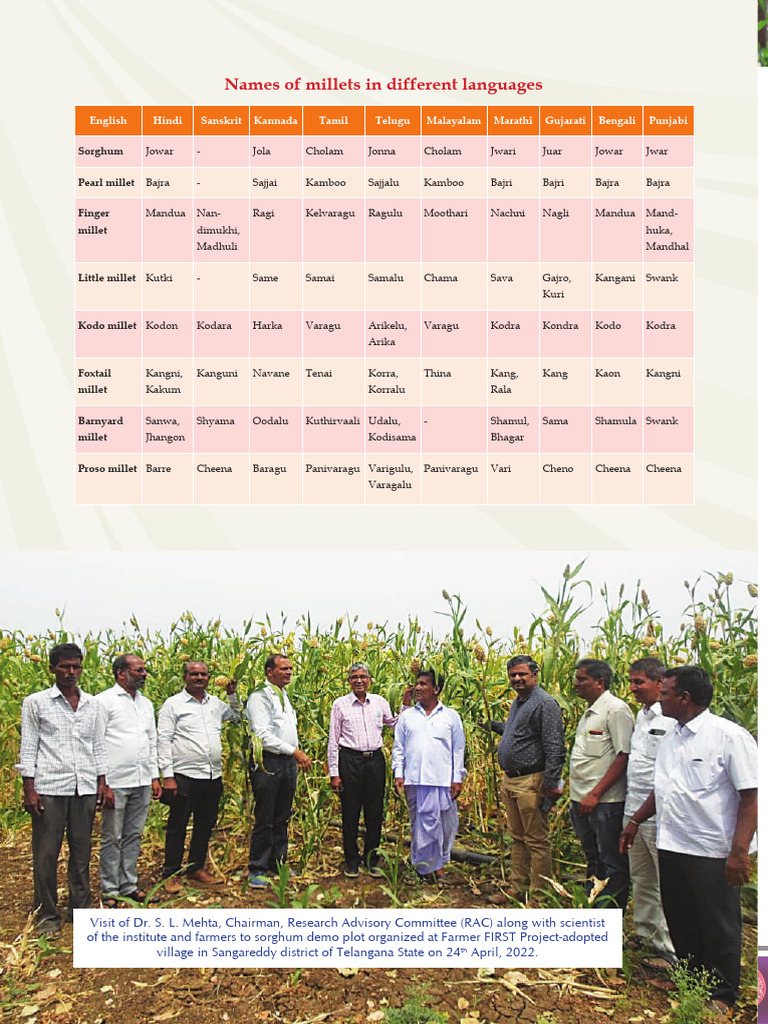 Millets: Names Across Languages | PDF