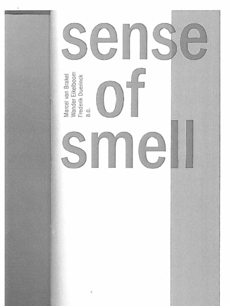 Becoming Dog Pinka Orlando Vita Virginia Sense of Smell | PDF