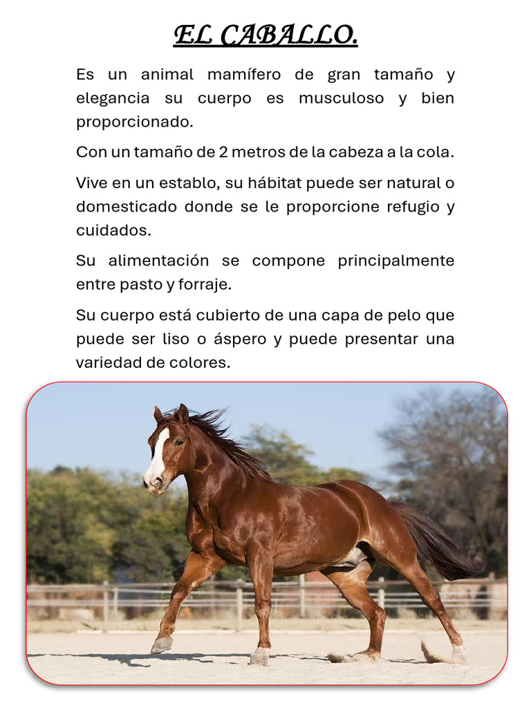 Características del Caballo Mamífero | PDF