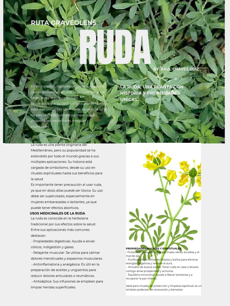 RUDA-1 | PDF