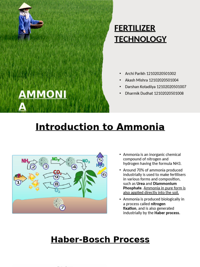 Ammonia in Fertilizer Technology | PDF | Ammonia | Fertilizer