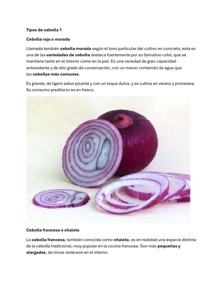 Variedades de cebolla y sus usos | PDF