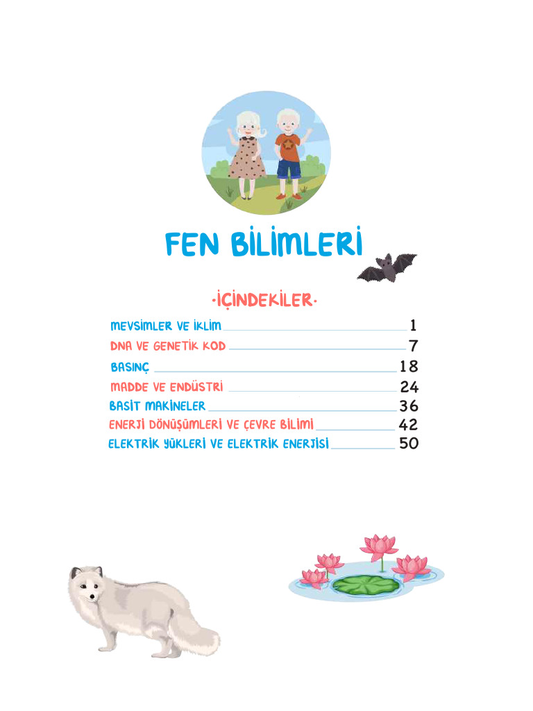 Fenn | PDF