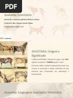 Metameria: Segmentação em Animais | PDF