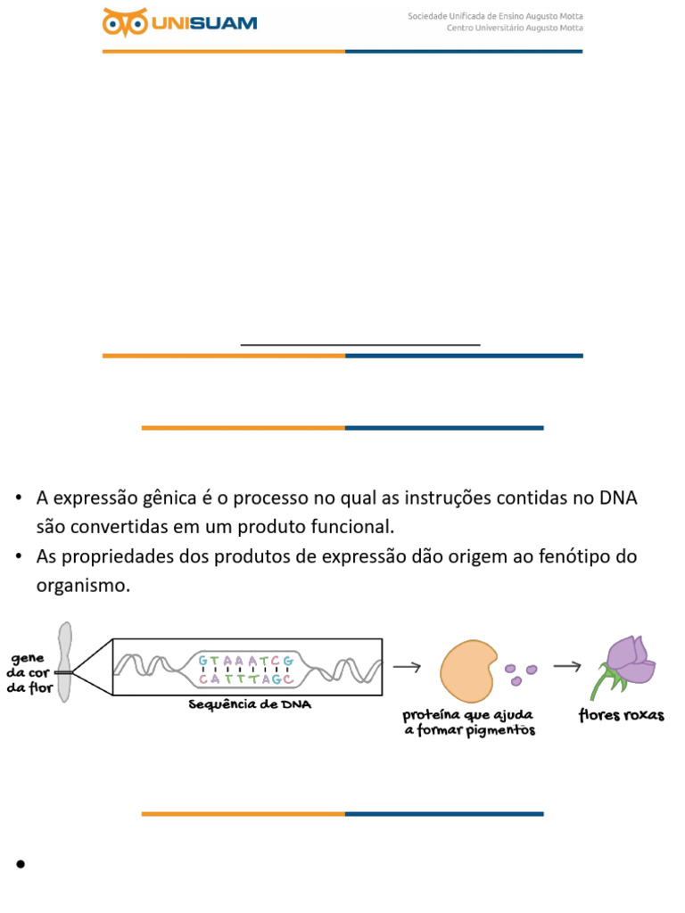 Módulo 1 - Aula 3 Expressão Gênica 2025 | PDF | Gene | Expressão genética
