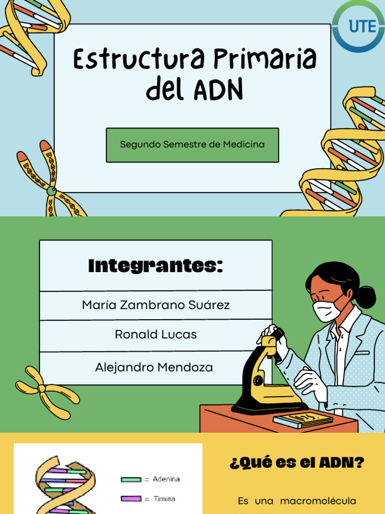 Estructura Primaria Del ADN | PDF | Adn | Nucleótidos