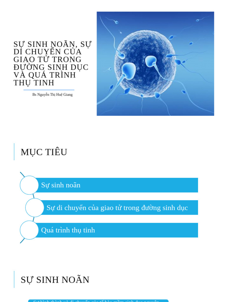 S Sinh Noãn Và S TH Tinh | PDF