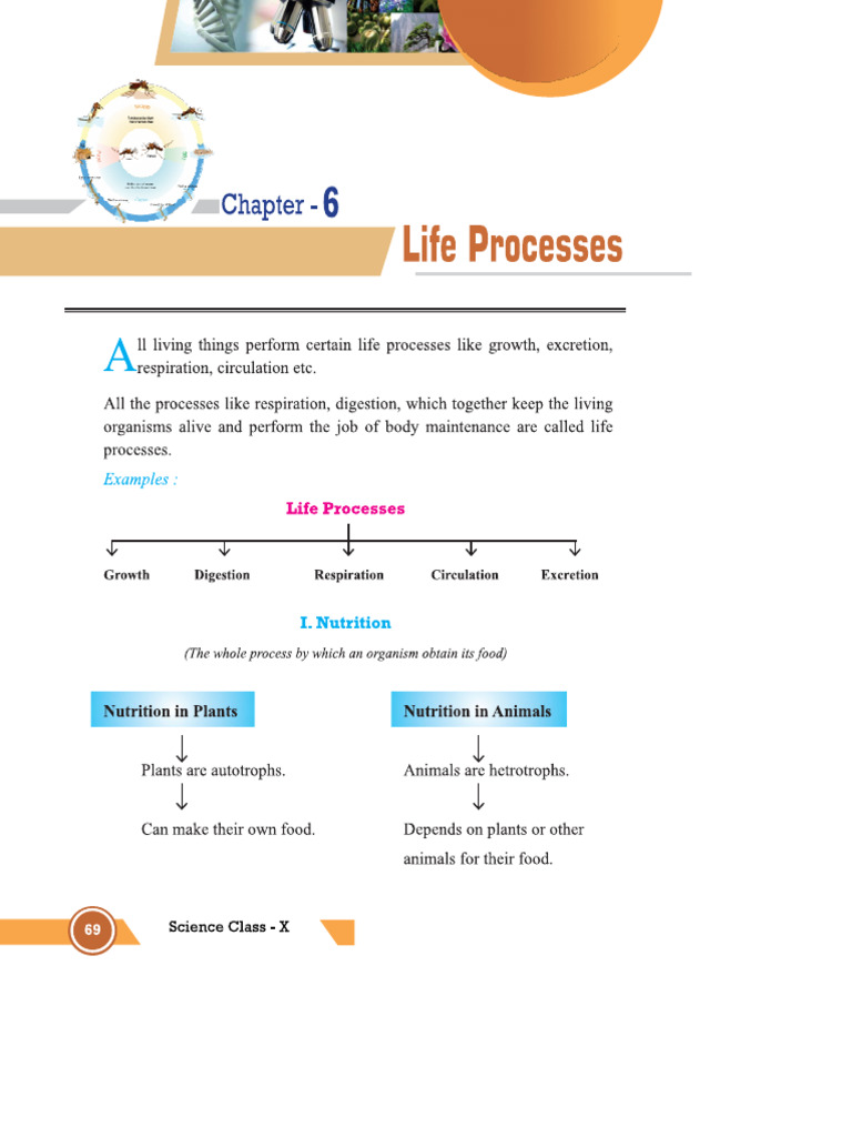 Chapter 6 English | PDF