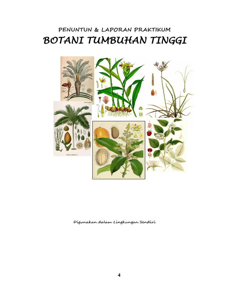 Penuntun & Laporan Praktikum Btt_1 | PDF