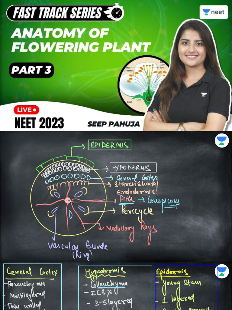Anatomy of Flowering Plant Part 3 | PDF