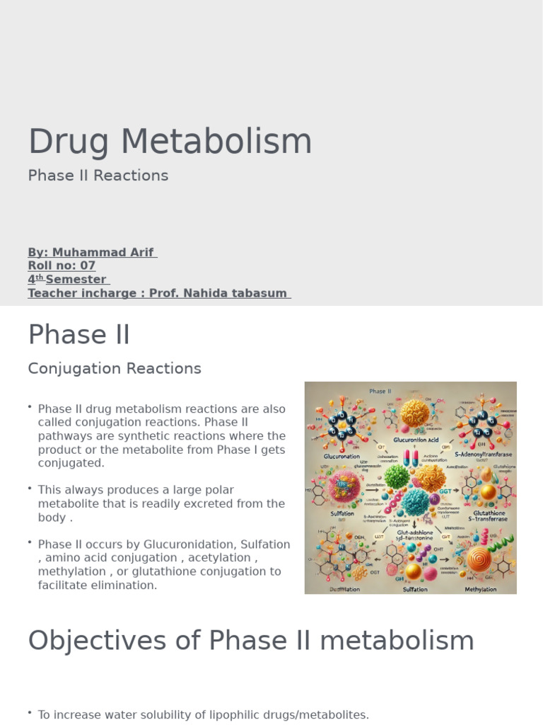 Phase II Drug Metabolism Overview | PDF | Drug Metabolism | Glutathione