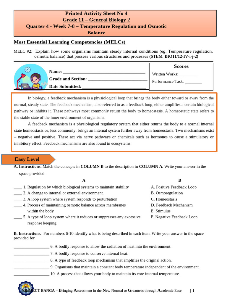 Gen Bio 2 AS 4 Q4 Week 7-8 | PDF | Homeostasis | Feedback