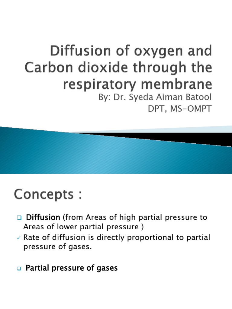 Understanding Gas Exchange and V/Q Ratio | PDF | Respiratory System ...