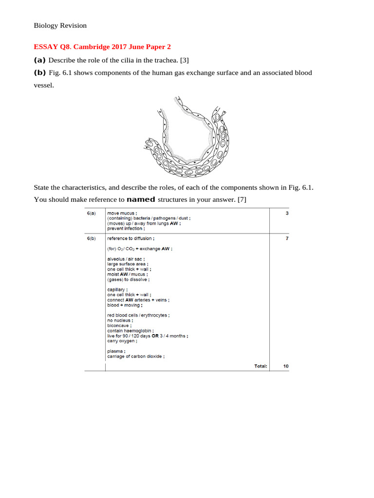 Compiled Biology Essay - 8-5 Respiration in Humans | PDF