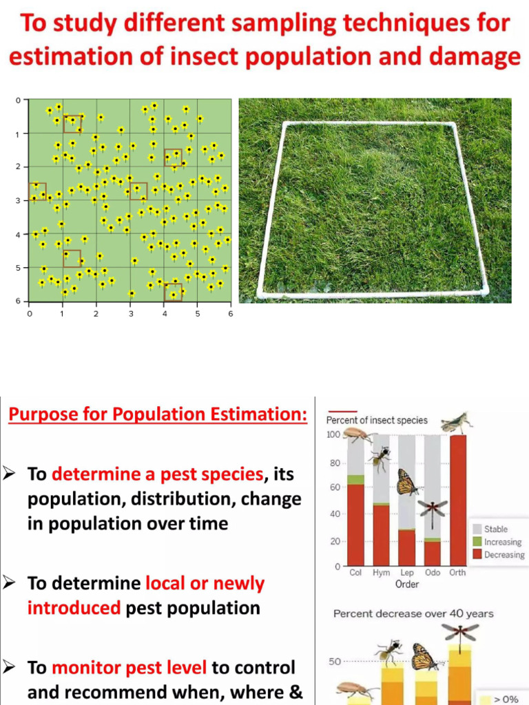Unit 9.1 Sampling Techniques For Estimation of Insect Population | PDF