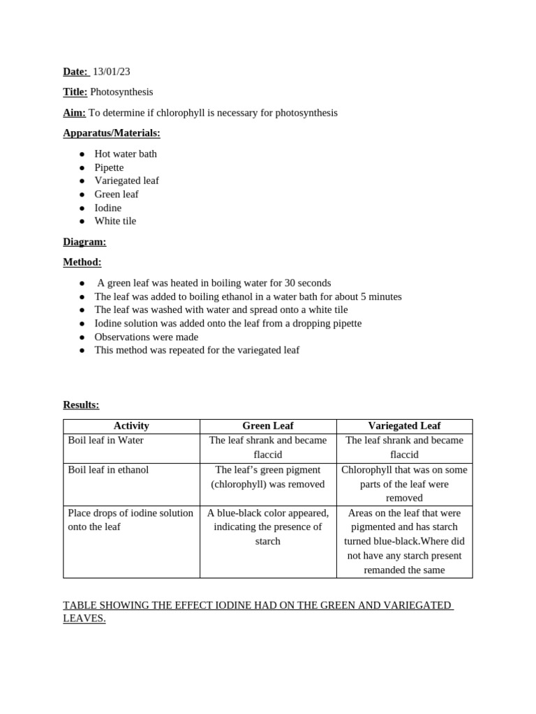 Chlorophyll's Role in Photosynthesis Experiment | PDF | Photosynthesis | Leaf