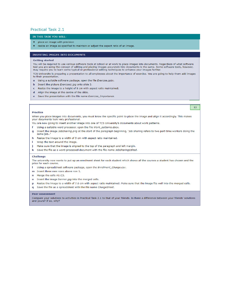 Chapter 12 Images Tasks | PDF