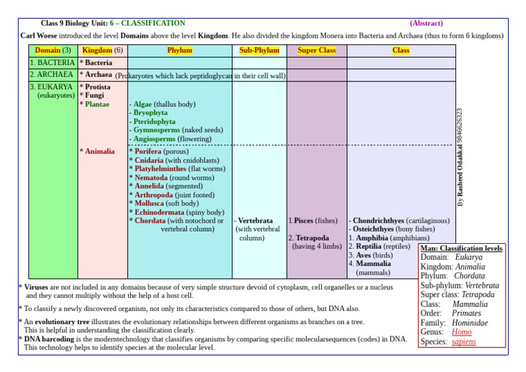 Mindmap-Class 9 Biology Unit 6 Eng Med | PDF | Organisms | Biological Classification