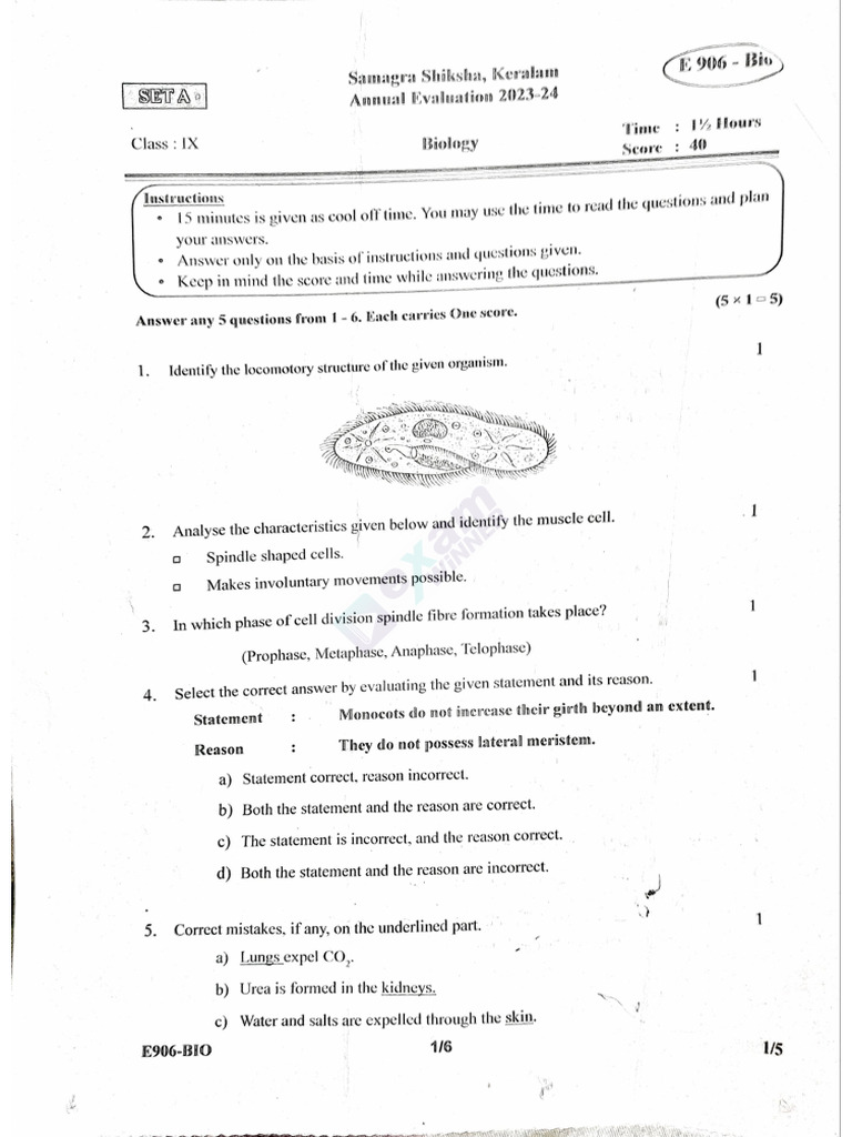 Class 9 Annual Exam Biology Question Paper | PDF