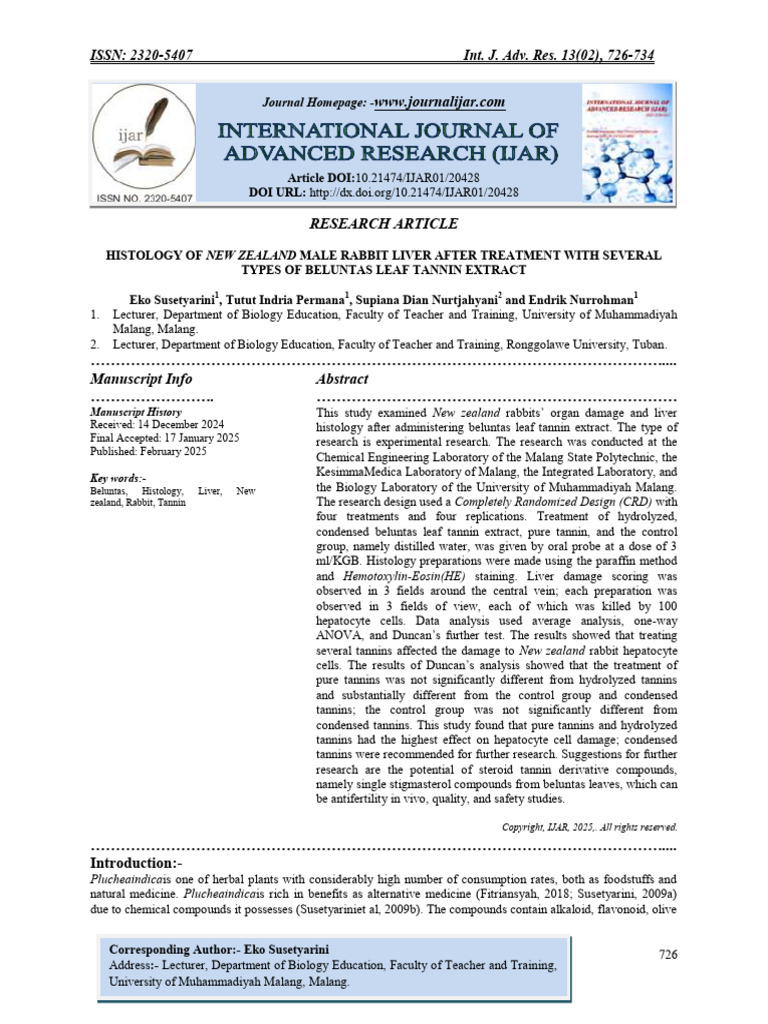 Histology of New Zealand Male Rabbit Liver After Treatment With Several ...