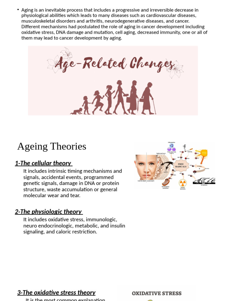 Aging Theories and Physiological Changes | PDF | Cornea | Retina
