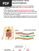 Adaptations of the Small Intestine for Absorption | PDF