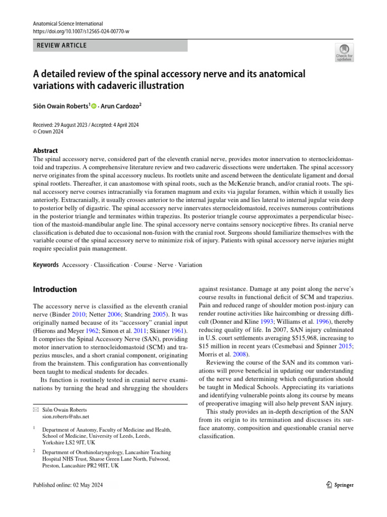 A Detailed Review of The Spinal Accessory Nerve and Its Anatomical ...