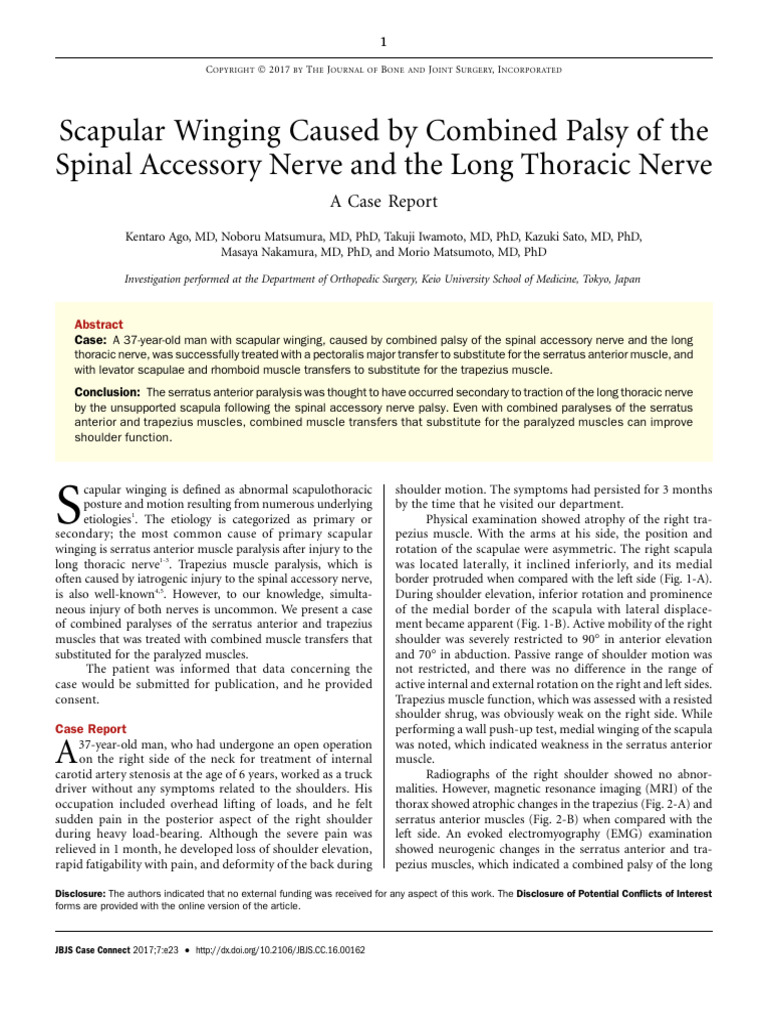 Scapular Winging Caused by Combined Palsy of The Spinal Accessory Nerve ...