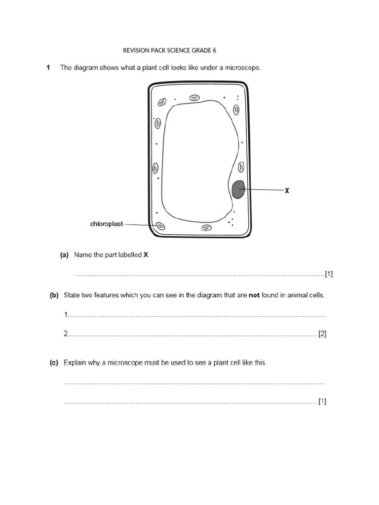 Revision Pack Science Grade 6 | PDF