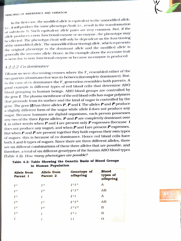 Modified vs Unmodified Alleles | PDF | Dominance (Genetics) | Allele