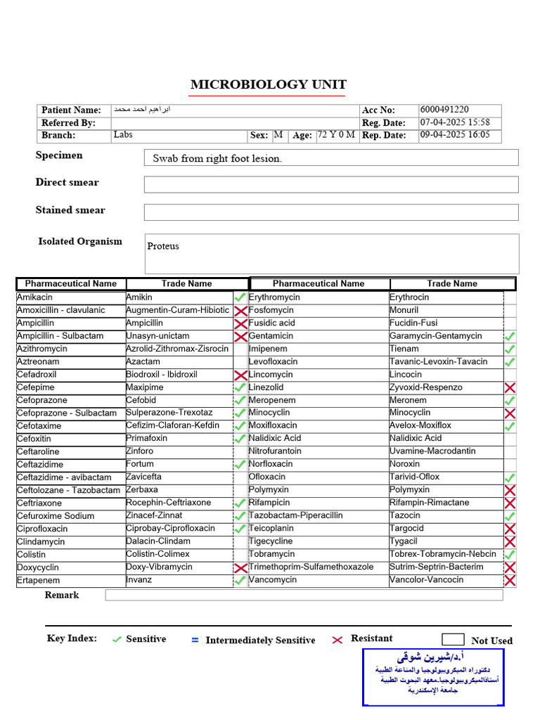 Microbiology Report: Proteus Analysis | PDF | Antibiotics | Drugs