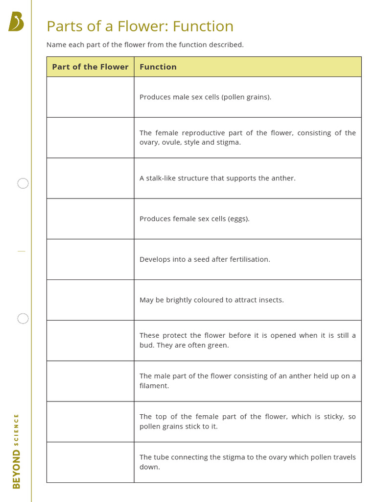 Search For Functions of Parts of Flower Resources | PDF