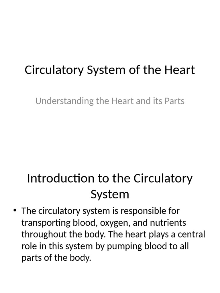 Circulatory System of The Heart | PDF