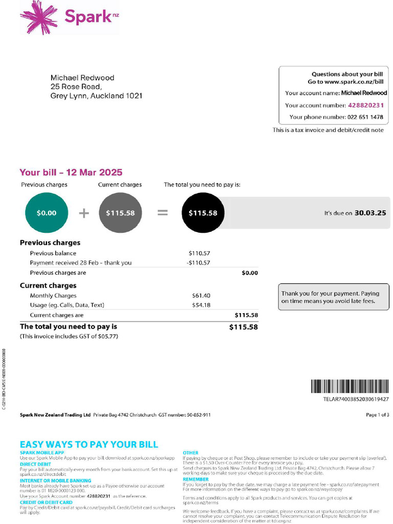 Spark Utility Bill | PDF