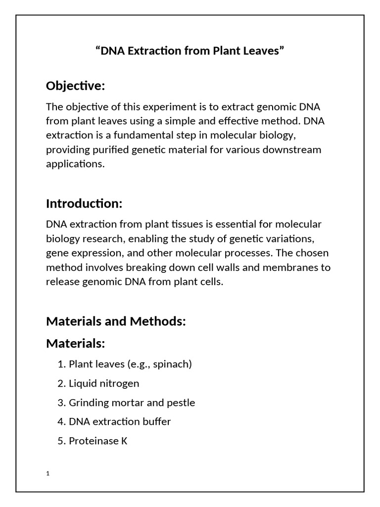 Plant DNA Extraction Protocol | PDF | Genetics | Molecular Biology