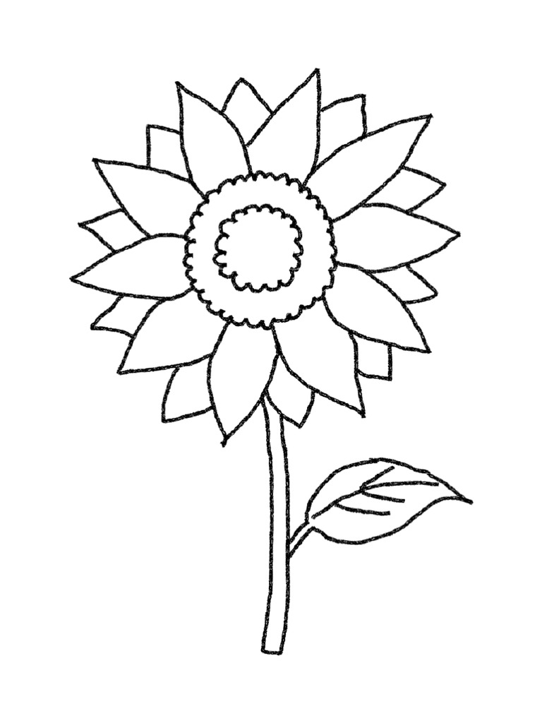 Sunflower | PDF