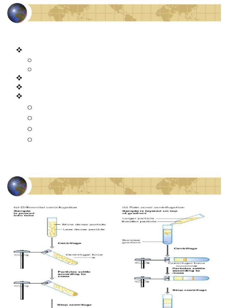 Protein Structur - Lect - 20.3.2025 | PDF