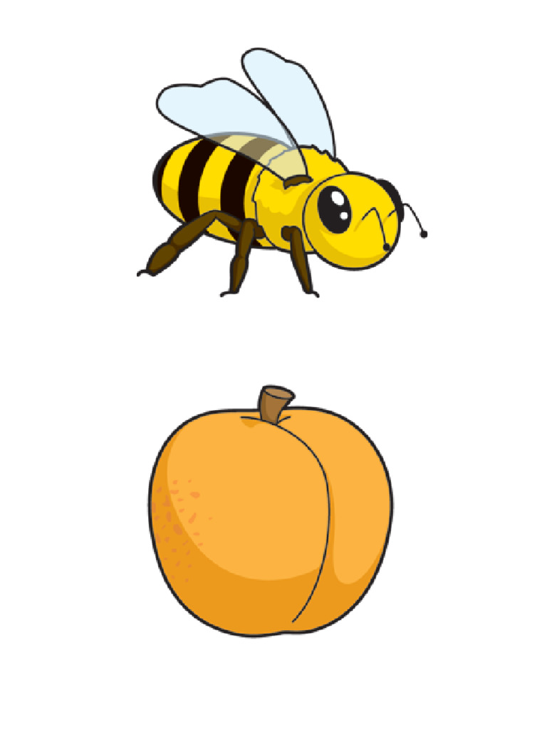 Phono Images Commence Comme Couleur | PDF