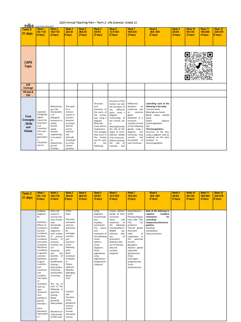 Grade 12 Life Sciences ATP Term 2 2025 | PDF | Neuron | Nerve