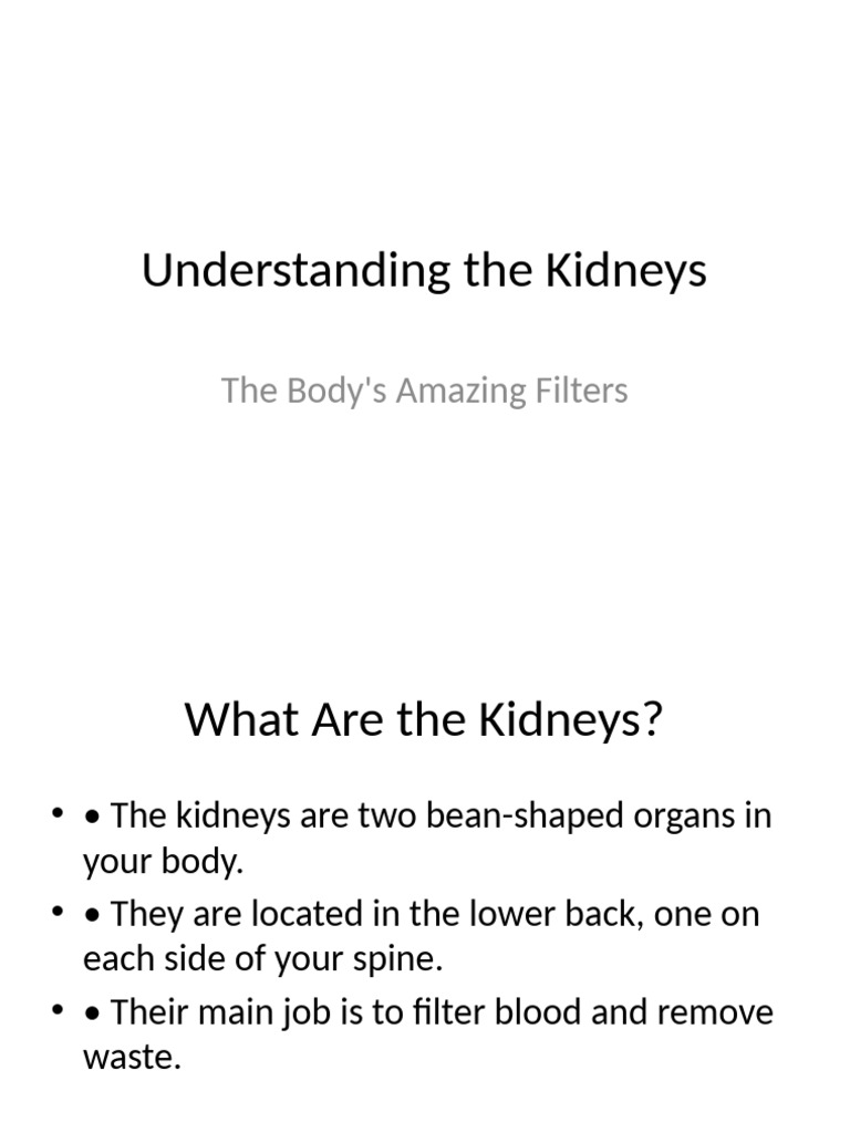 Kidneys_Presentation_8Slides | PDF