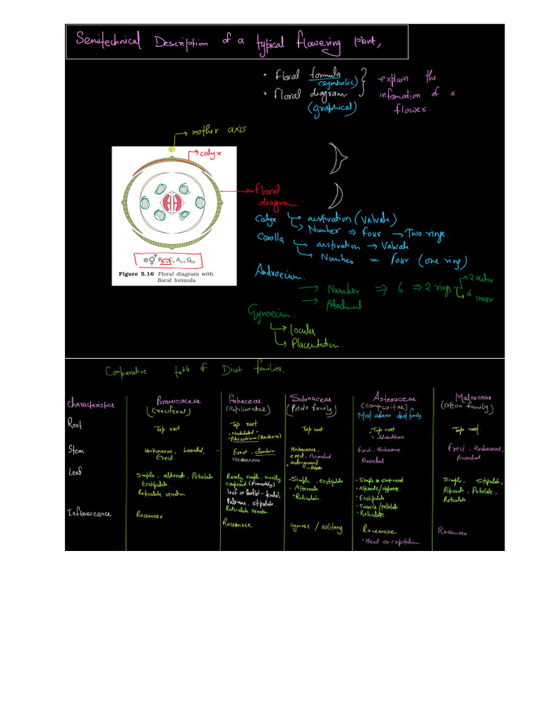 Morphology Dicot and Monocot Families | PDF
