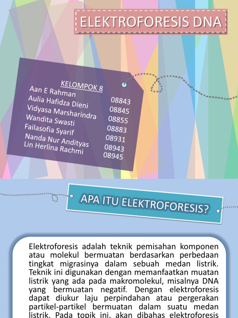 Elektroforesis Dna | PDF