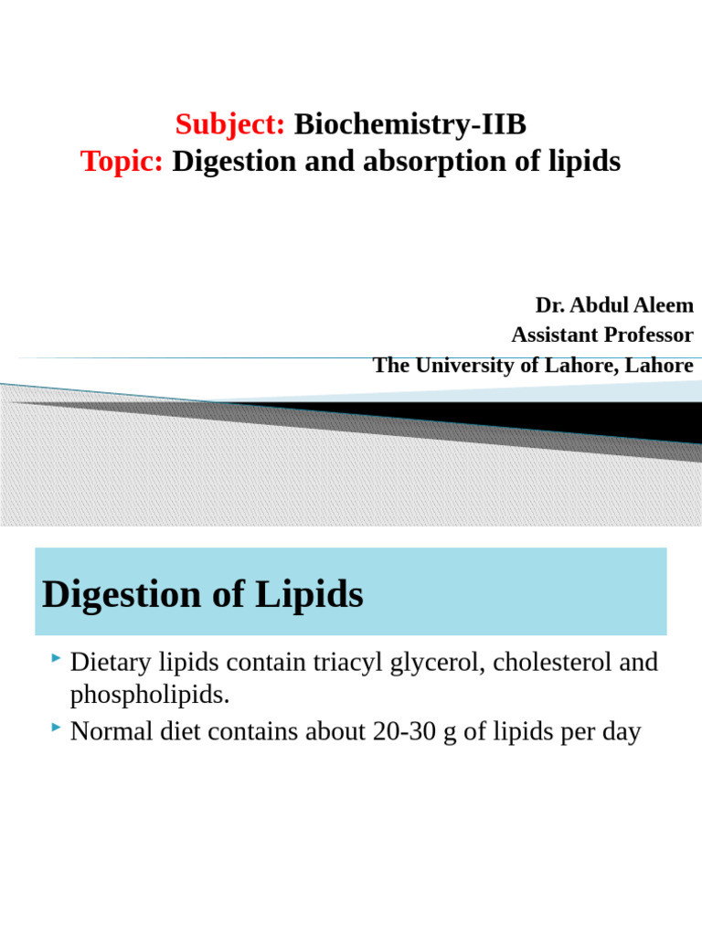 Lipid Digestion and Absorption Explained | PDF | Digestion | Lipoprotein