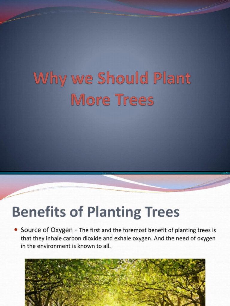 Planting Trees for a Greener Future | PDF
