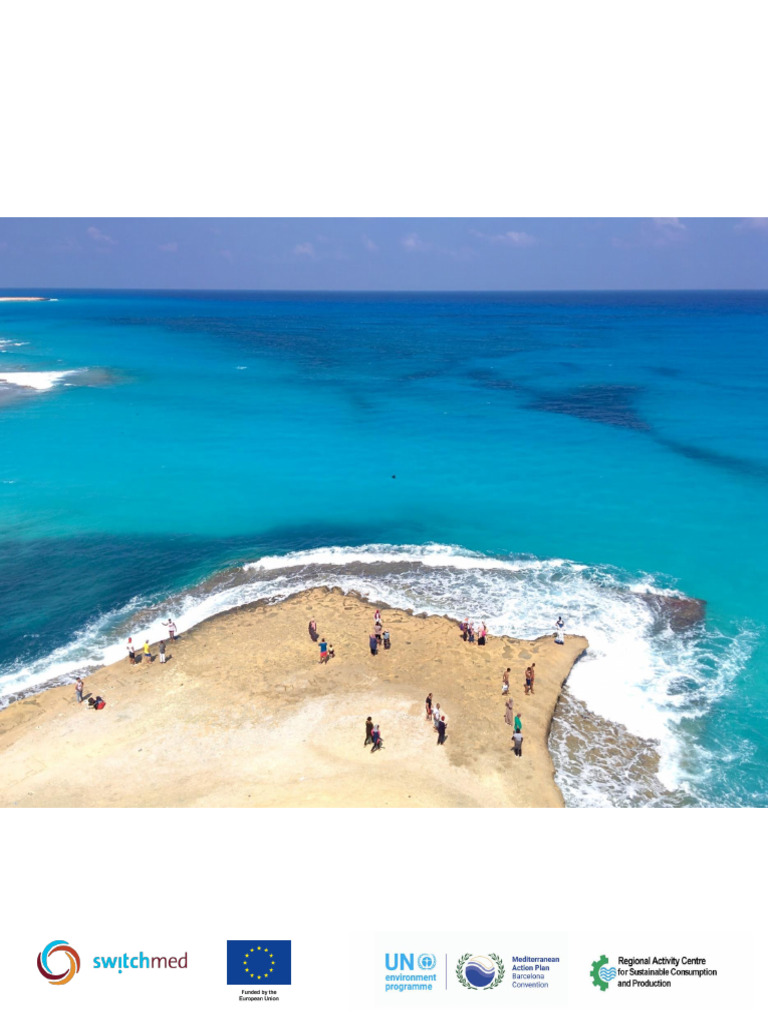 Egypt Country Profile and Economic Overview | PDF | Entrepreneurship ...